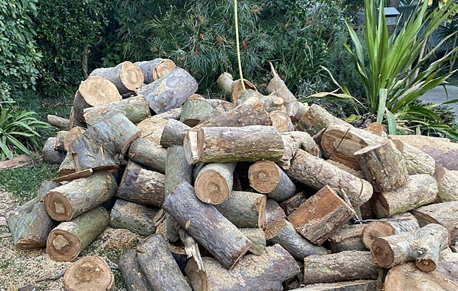 Intensive Tree Care Service - TREE REMOVAL, LOPPING, PRUNING. NORTHERN ...