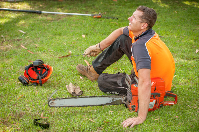 Intensive Tree Care Service - TREE REMOVAL, LOPPING, PRUNING. NORTHERN ...